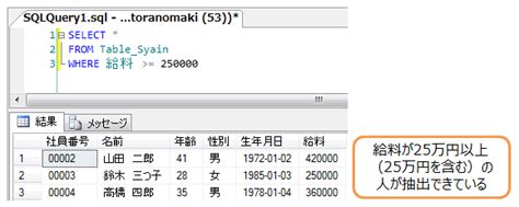 【初級編⑥】sqlのselect文の基本的な構文 Sql Server 虎の巻