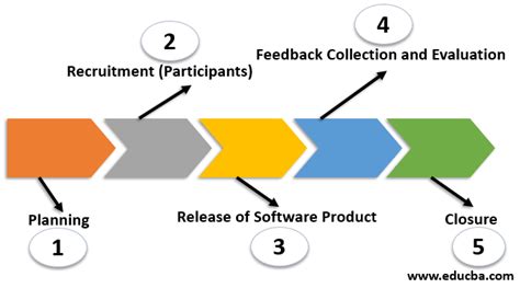 Beta Testing Working Advantages And Disadvantages