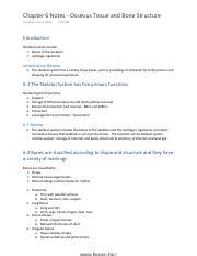 Chapter 6 Notes Osseous Tissue And Bone Structure Pdf Chapter 6 Notes Osseous Tissue And