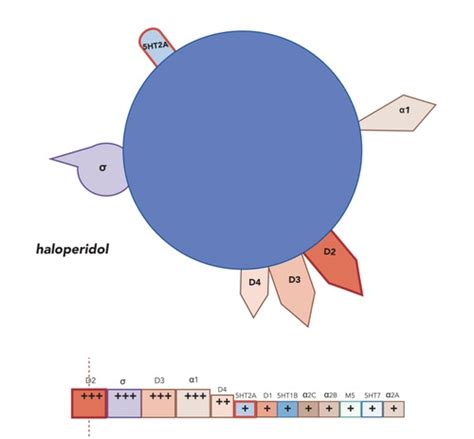 Fga Antipsychotics Binding Profiles Flashcards Quizlet