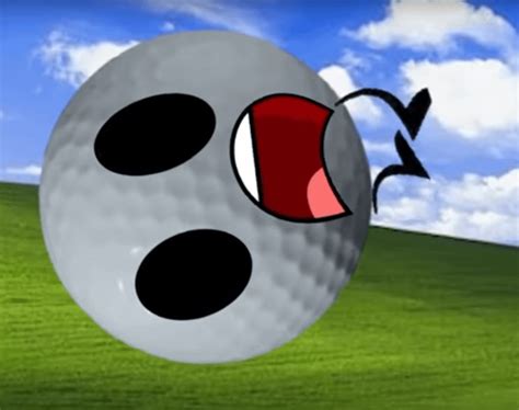 I Literally R Bfdi Assets