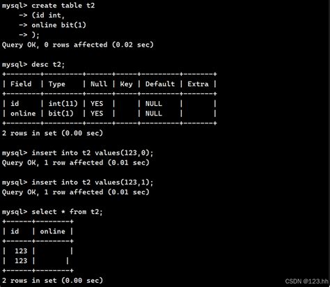 Mysql数据类型mysql小数用什么类型 Csdn博客