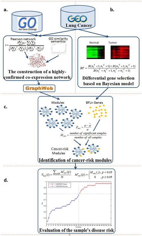 Cancer Risk Modules Identification And Module Based Disease Risk