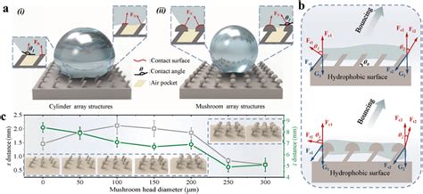 Bouncing Performance Of Droplets With Different Geometric Parameters Of Download Scientific