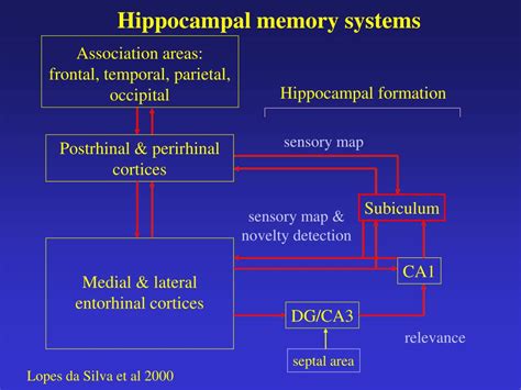 Ppt Distinct Memory Systems Mediating Declarative Emotional And Procedural Memory Functions