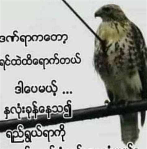 မြန်မာဗွီဒီယို