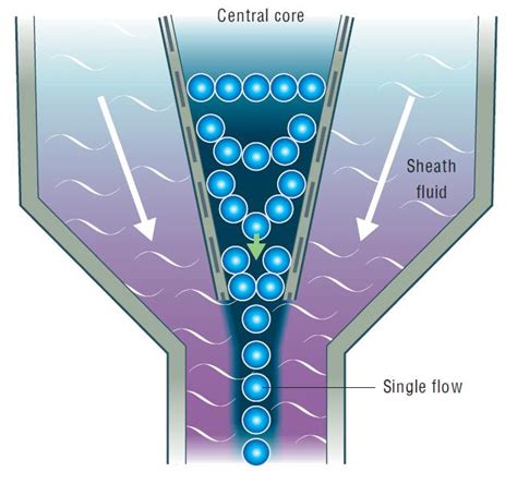 Flow Cytometry Assay