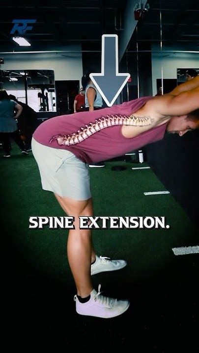 Mobility Routine For Back Pain And Sciatica Youtube