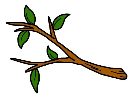Tree Branch Stock Illustrations Tree Branch Stock