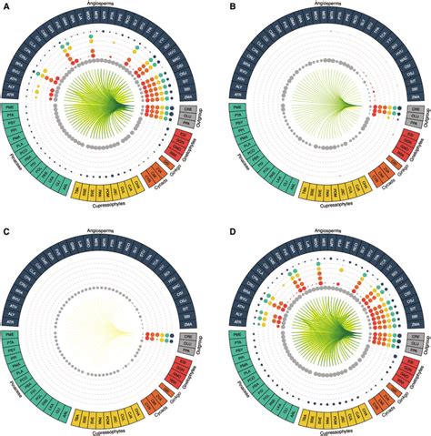 —comparison Of Gc Content In The Concatenated Alignment A And At Each