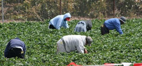 Isglobal Instituto De Salud Global Barcelona Isglobal