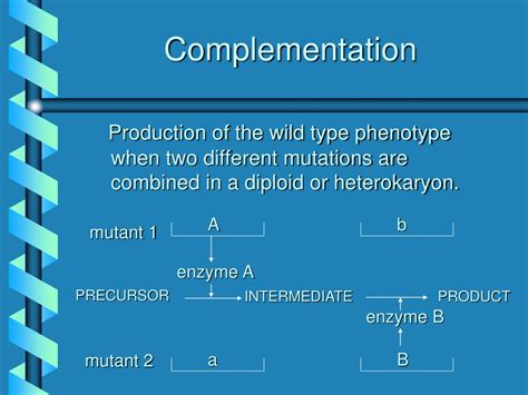 ppt genetic fine structure powerpoint presentation free download