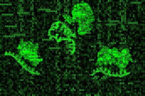 Decoding Rna Protein Interactions Mit News Massachusetts Institute Of Technology