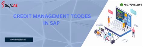 Exploring The Types Of Sap Implementations Softat