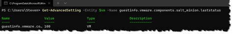 Deploy Salt Minions Automatically Using Vmware Tools