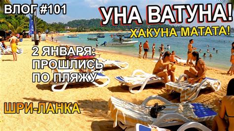 Шри Ланка Унаватуна самый туристический день 2 января Наши выходные Семейный Лайв Тревел
