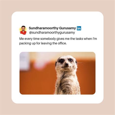Sundharamoorthy Gurusamy On Linkedin Workforce Life Jobadvice