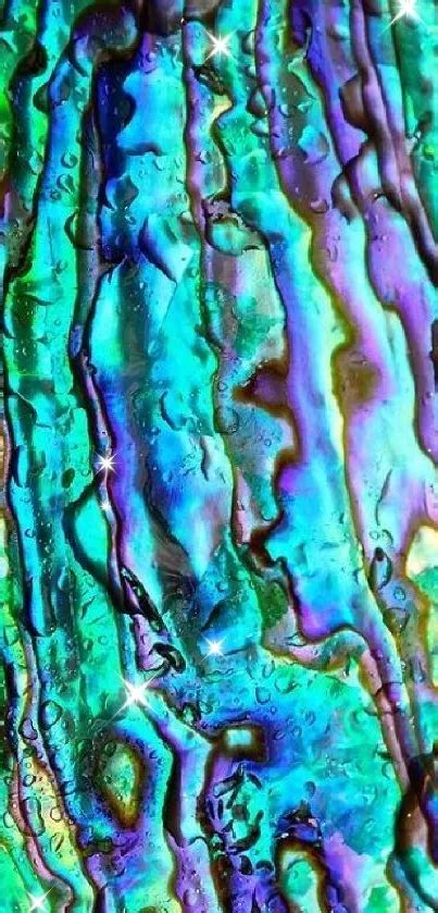 Vibrant Abalone Shell Wallpaper Free Download