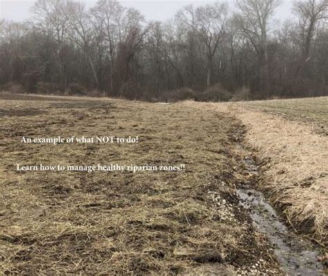 Behind The Scenes Managing Riparian Buffer Zones Westport Land Trust