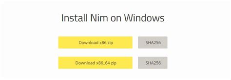 nim programming language and it s syntaxes
