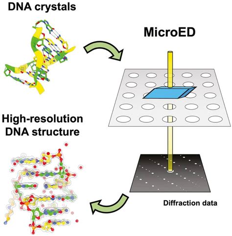 microed technology overview creative biostructure