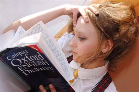 Study Reveals Which Is The Sexiest Language Wales Online