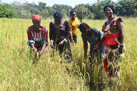Transformative Empowerment A Tale Of Resilience And Progress Ssdo