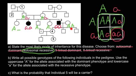 How To Read A Pedigree Like A Pro 5 Nikolays Genetics Lessons