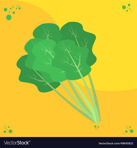 A Bundle Of Spinach Royalty Free Vector Image Vectorstock