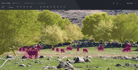 Data Annotation Tool For Livestock Keylabs