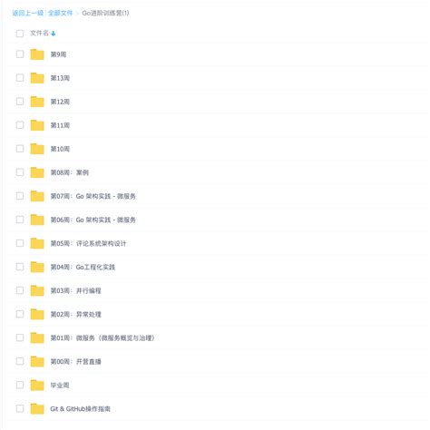 Go进阶训练营 A姐分享