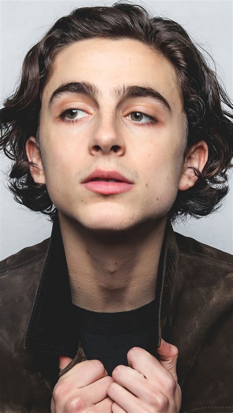 Timothee Chalamet Photoshoot 2020 Fondo De Pantalla 4k Hd Id6203