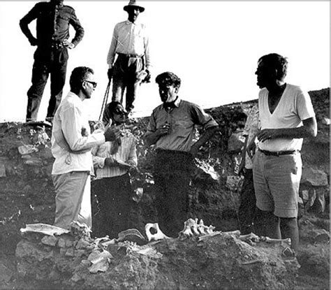 تپه‌های قیطریه؛ کشفی که برج‌های تهران آن را بلعید عکس