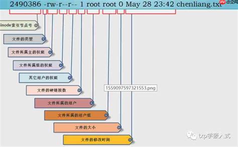 Linux系统中文件属性和权限实战操作 linux运维 PHP中文网