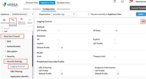 apply log export functionality versa networks
