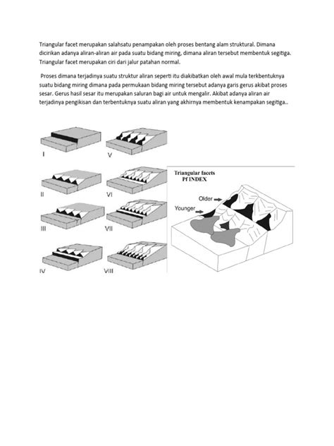 Triangular Facet Pdf