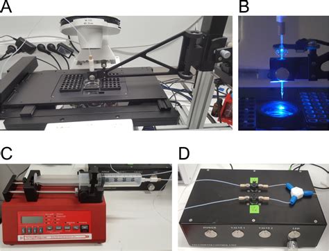 An Approach To Study Shape Dependent Transcriptomics At A Single Cell Level