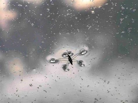 Free Surface Flow MR CFD Analysis Consultation Training Simulation