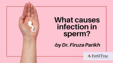 What Causes Infection In Sperm Fertiltree Ivf Center