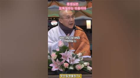 [늘 부처님 마음만 챙겨라] 동명불원 원순스님 Youtube