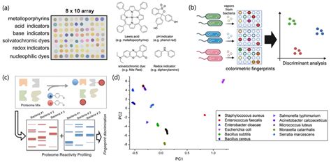 A Representative Image Of Paper‐based Colorimetric Sensor Array And
