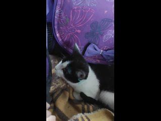 Буся — Видео | ВКонтакте
