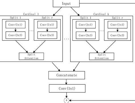 structure of resnest block download scientific diagram
