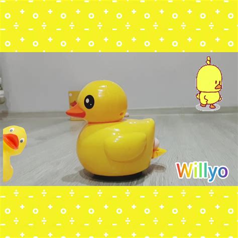 💥 💥 💥 დაგვიბრუნდნენ კვატები ♥ 🟨 უსაყვარლესი კვერცხის მდები მანათობელი კვატი🦆 🟨 მუშაობს