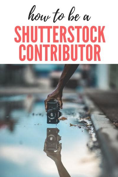 How To Become A Shutterstock Contributor A Step By Step Guide