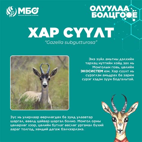 Монголын биологийн Монголын биологийн олимпиадын хороо