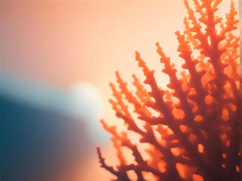 Premium Ai Image Coral Sunset Minimal Abstract Light Background