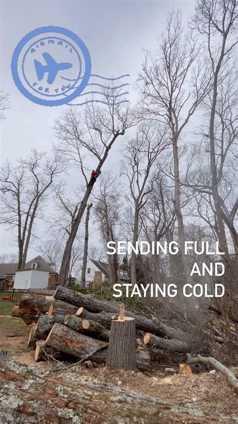 Skye Soderberg Skye Climbs • Instagram Photos And Videos