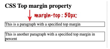 CSS Margin in Hindi Margin property क उपयग कस कर Tutorial in Hindi