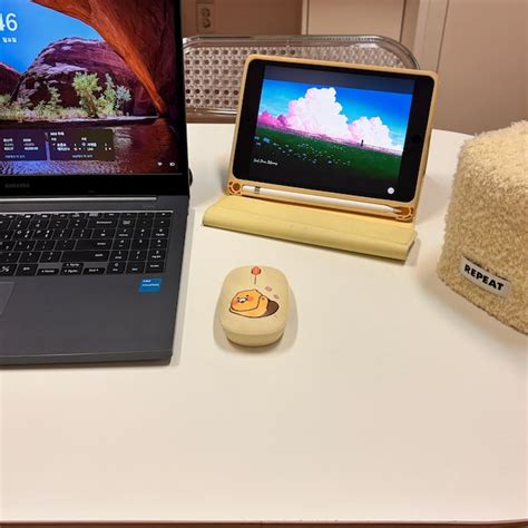 라이언 피규어 무선 키보드마우스 세트 제품으로 꾸민 유저들의 스타일링샷 오늘의집 유저들의 집꾸미기